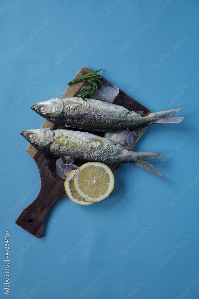 Milkfishes photography for business and presentation Stock Photo ...