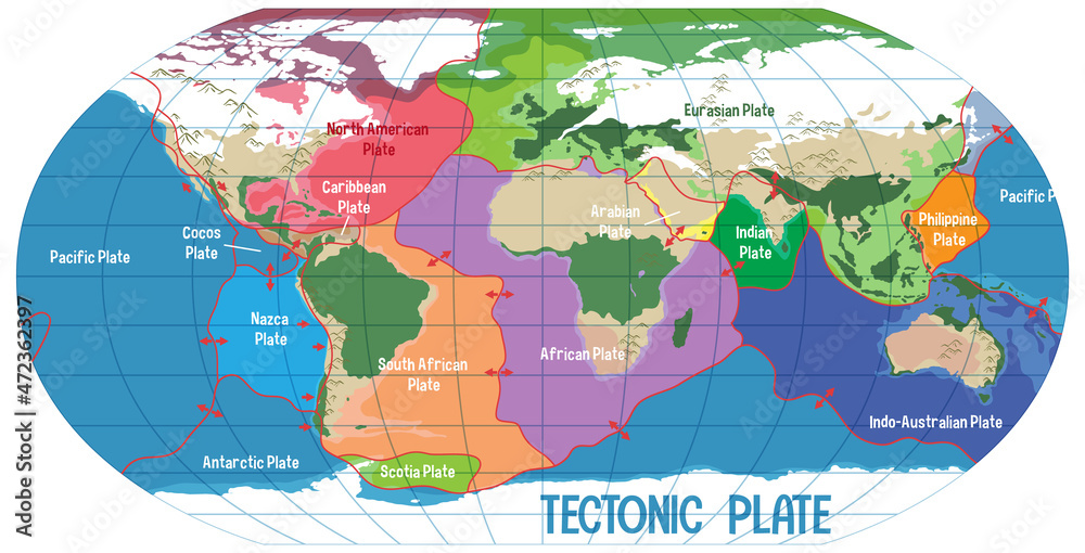 World Map Showing Plates