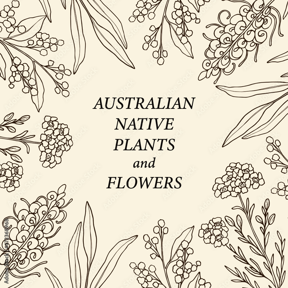 Hand drawn Australian native flowers frame Stock Vector | Adobe Stock