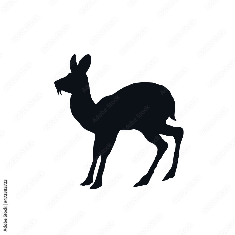 Siberian musk deer or moschus moschiferus logo icon sign Deer symbol ...