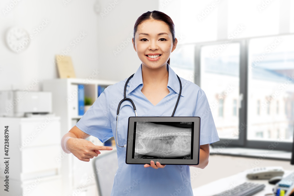 medicine, pet and healthcare concept - happy smiling veterinarian ...