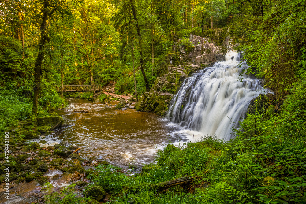 Poster Cascade et chute d'eau dans les Vosges France – Muurposter ...