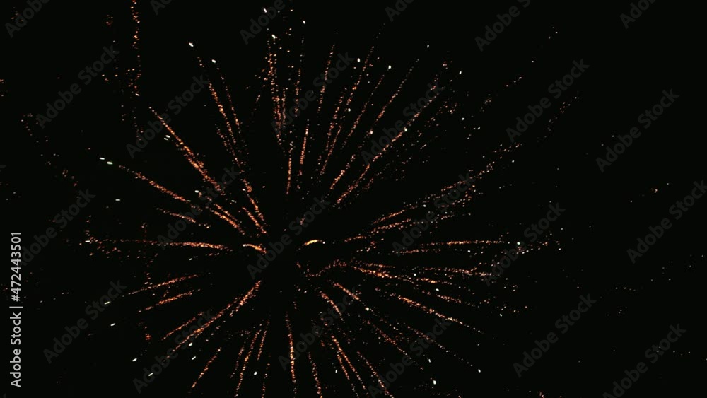 Fireworks in the dark night sky. Stock ビデオ | Adobe Stock