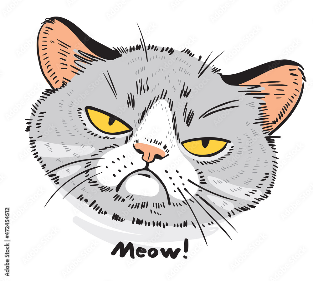 Hand drawn cat portrait. Sad cat face. Cartoon characters. Funny vector ...
