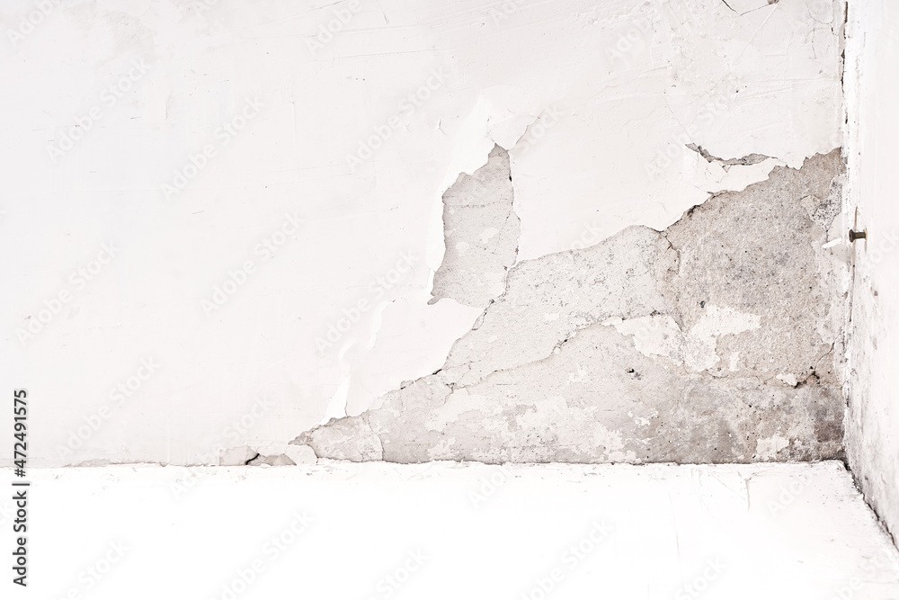 Fungus and mold on the wall in the damp corner of the house. Loose ...