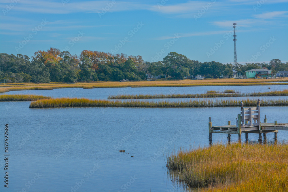 The freshwater wetlands of White Oak River on the Atlantic Coastal ...