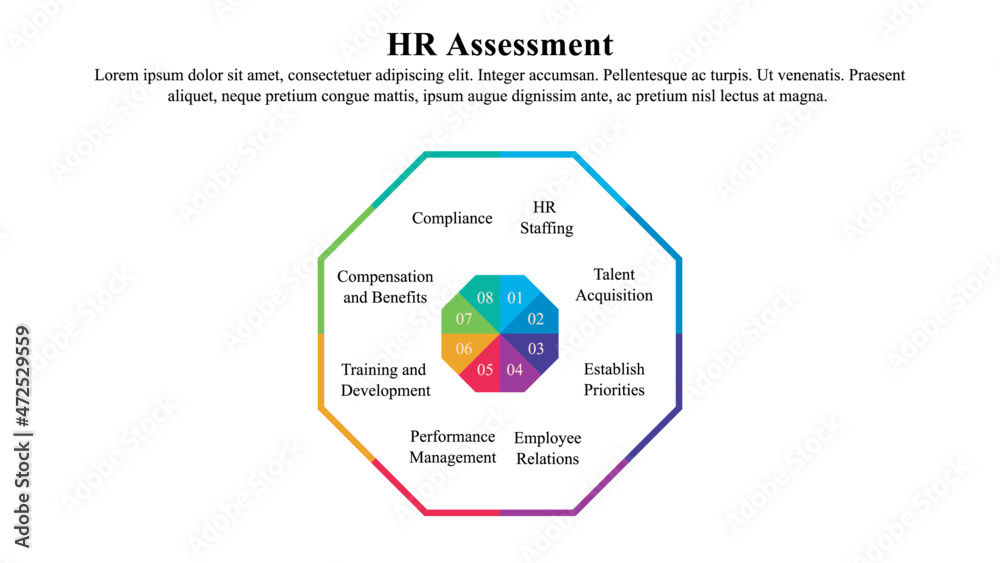 Infographic presentation template of HR Assessment. Stock Vector ...