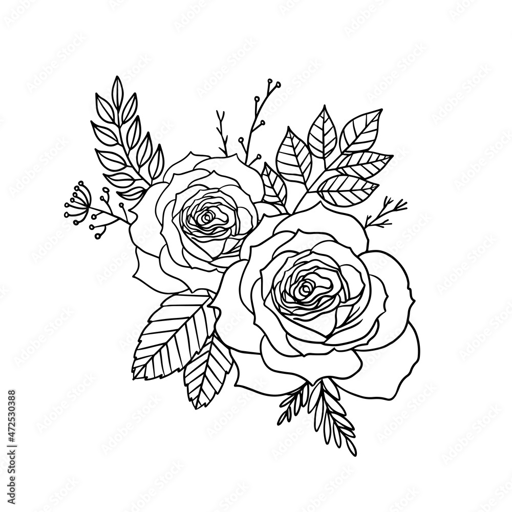 roses illustration as floral arrangement isolated on white. uncolored ...