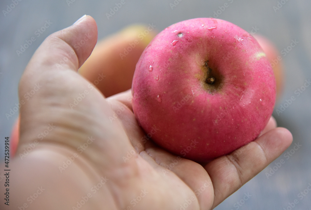 Fuji apples are moderately sized fruits, and have a round to ovate ...