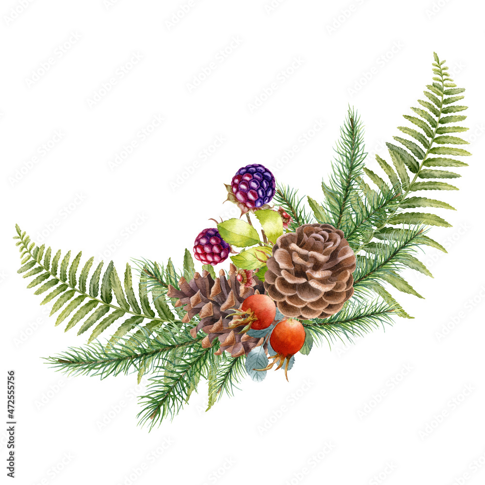 Watercolor illustration with fern, briar and blackberry berries, with ...