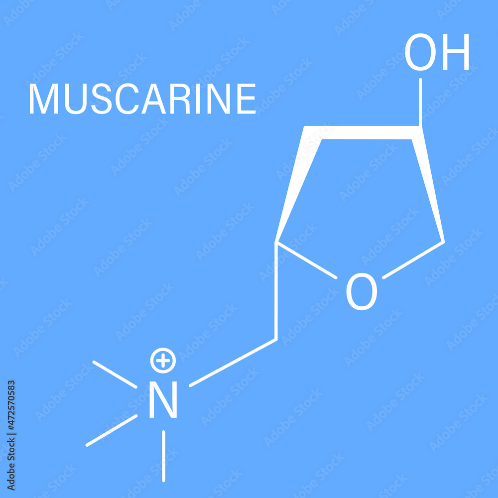 Muscarine mushroom toxin molecule. Agonist of the muscarinic ...