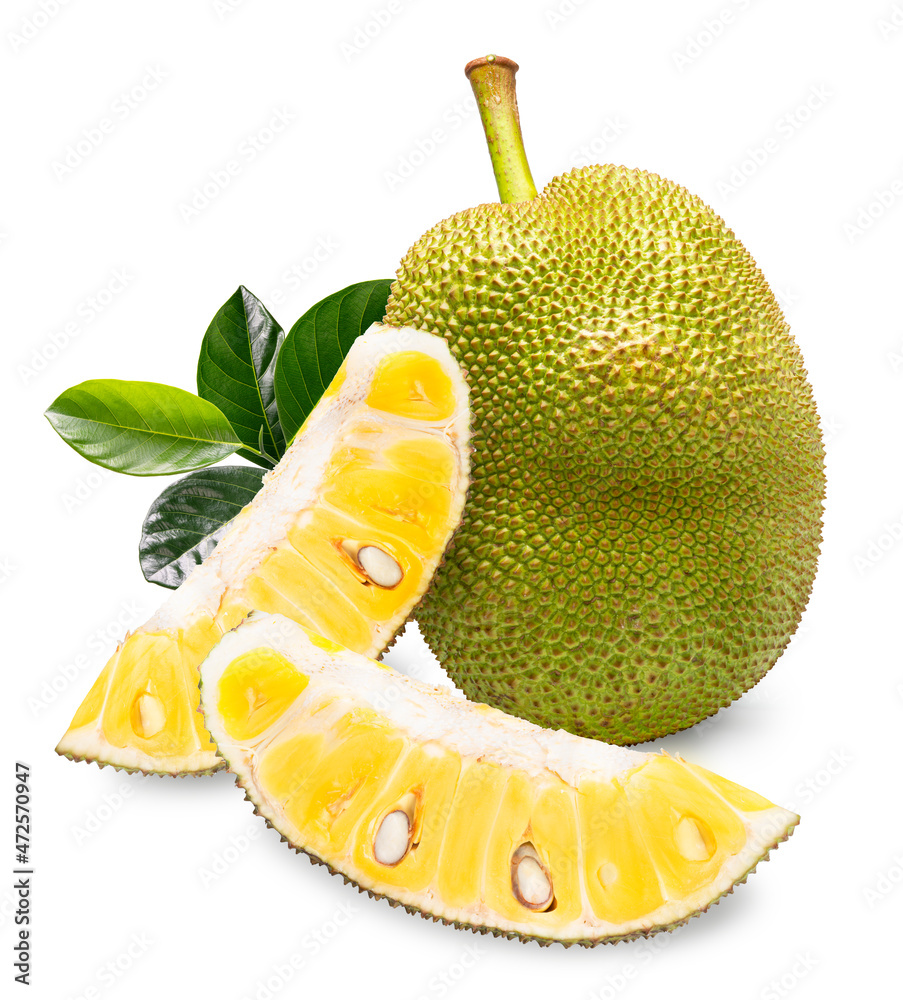 Yellow Jackfruit isolated on white background, Fresh Jack Fruit ...