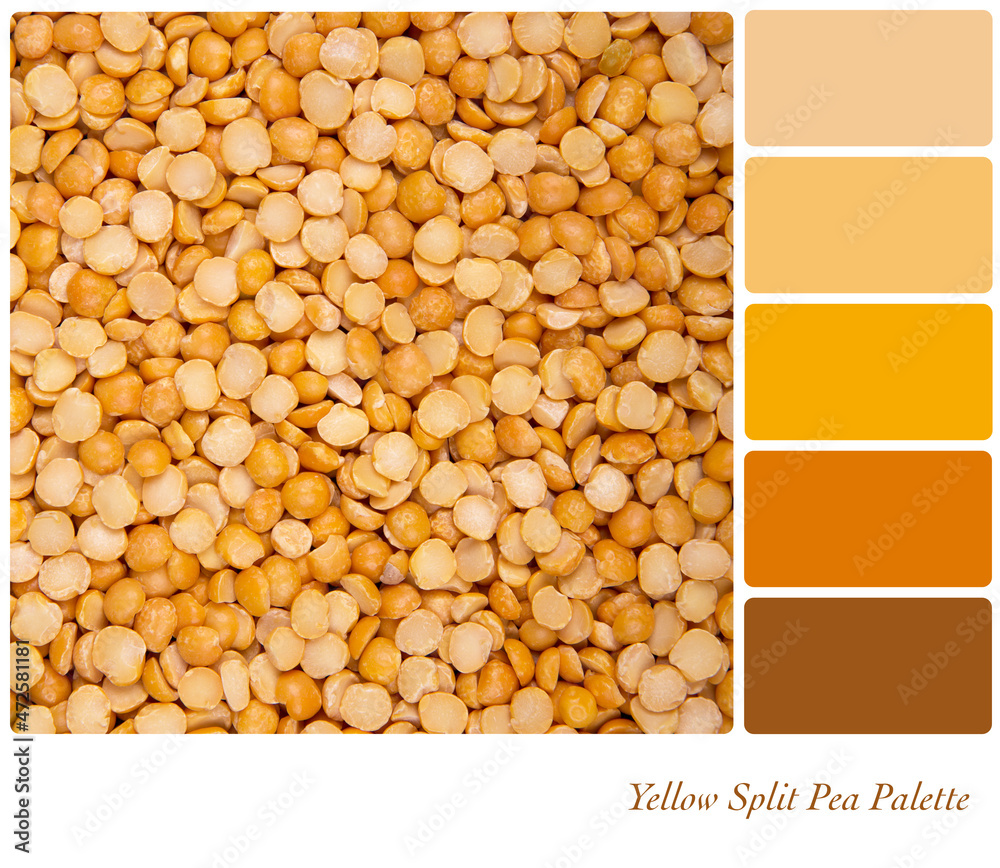 Yellow Split Pea background in a colour palette with complimentary ...