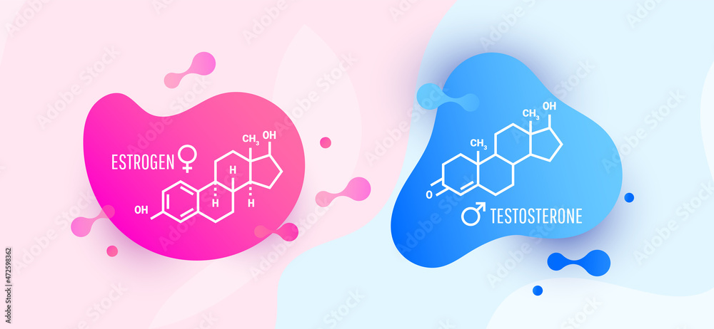 Estrogen and testosterone hormones molecular skeletal formula with ...