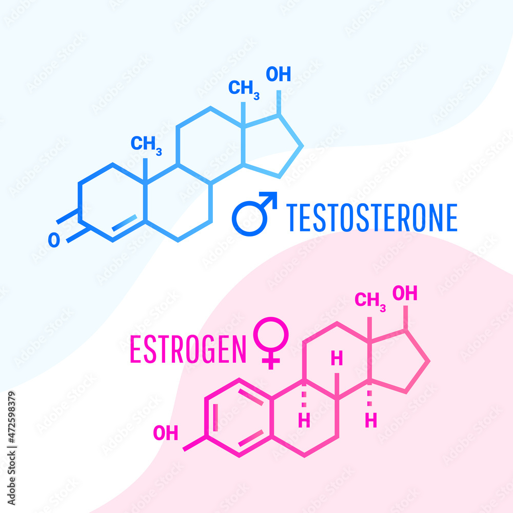 Estrogen and testosterone hormones molecular formula with liquid fluid ...