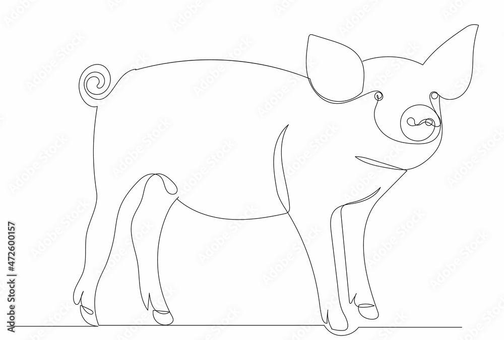 pig drawing by one continuous line, sketch, vector Stock Vector | Adobe ...