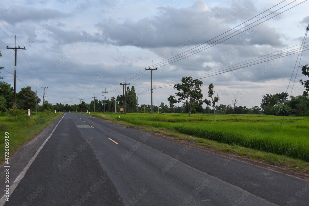 Rural roads with fields and skies background.Country Road.Paddy rice ...