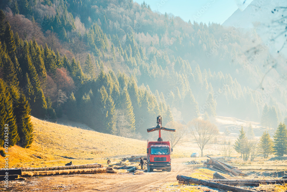 Timber woodcutters cut logs in the woods during the day with a chainsaw ...