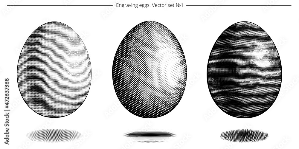 Hatching Egg Drawing
