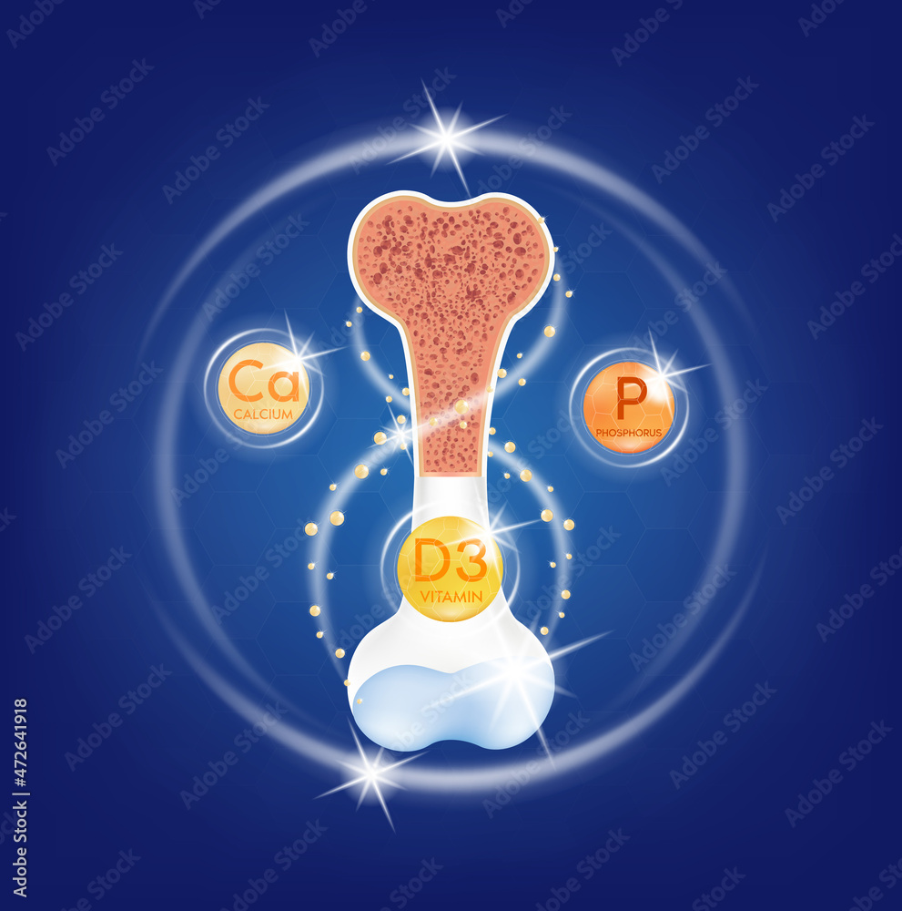 Healthy bone human bone anatomy. Skeleton x ray scan concept. Vitamin ...