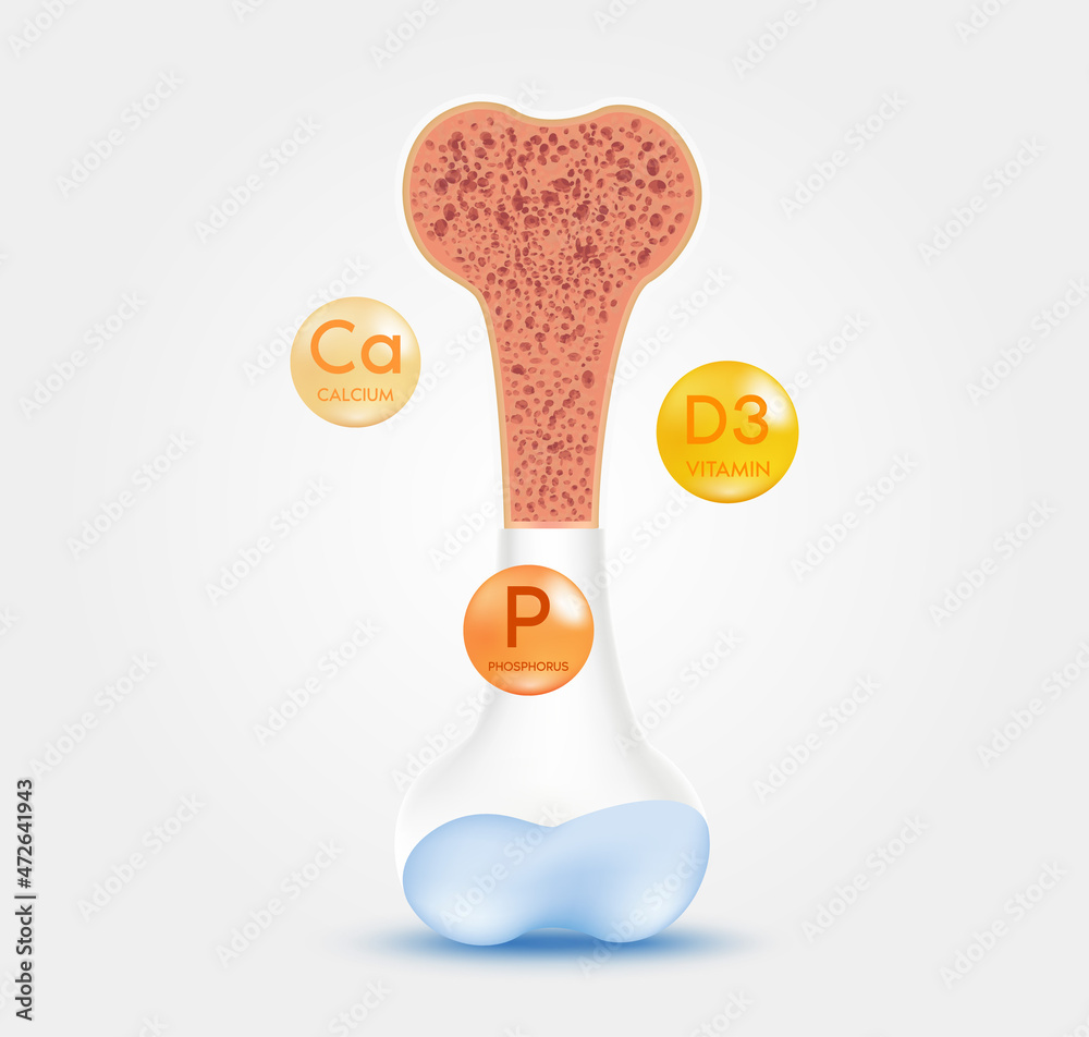 Healthy bone human bone anatomy. Skeleton x ray scan concept. Vitamin ...