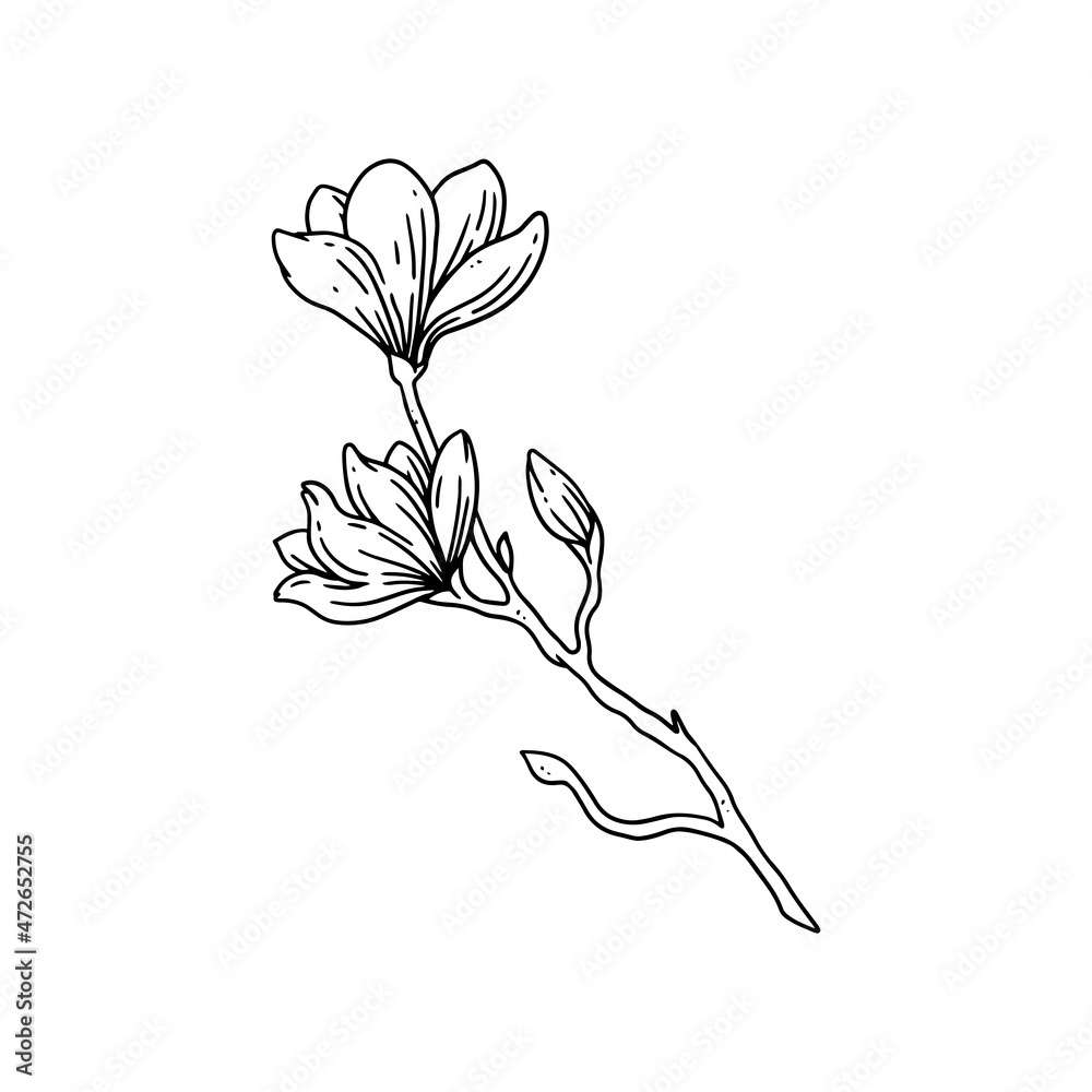 a beautiful flower illustrated in outline style. flower hand drawn ...