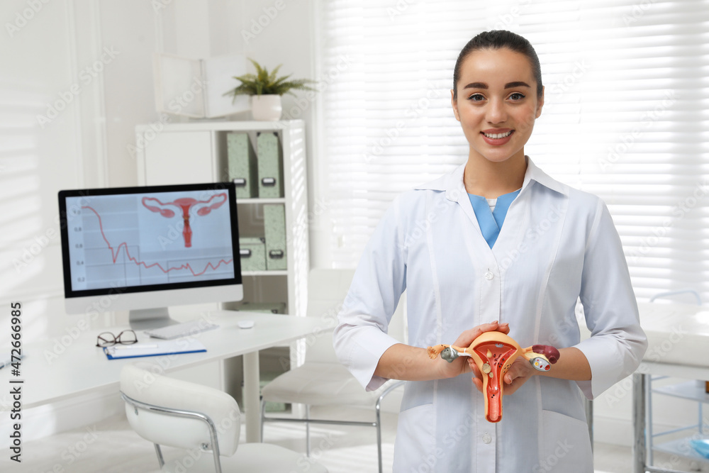 Gynecologist demonstrating model of female reproductive system in ...