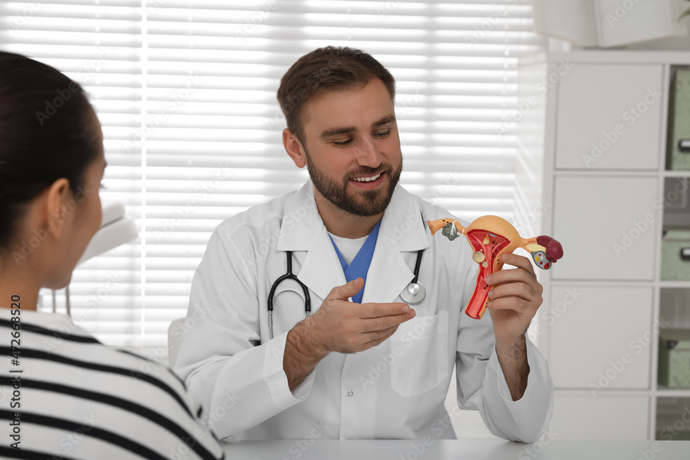 Gynecologist demonstrating model of female reproductive system to young ...