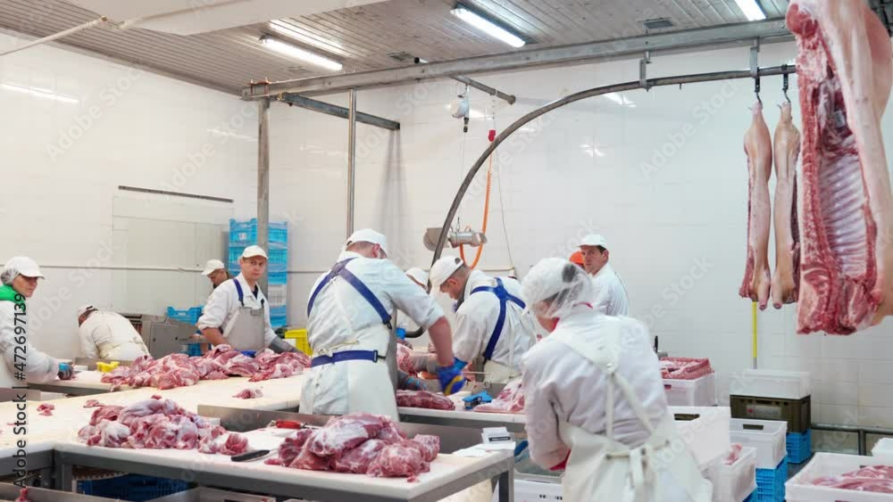 Motion of group of professional male and female butchers working at ...