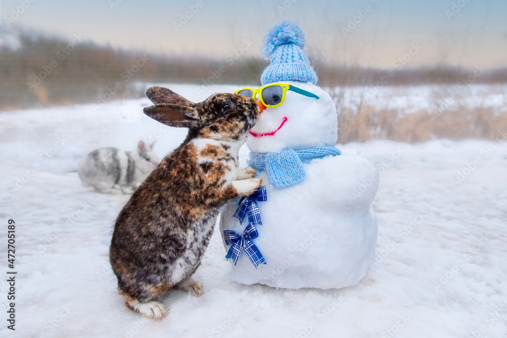 Snowman Rabbit