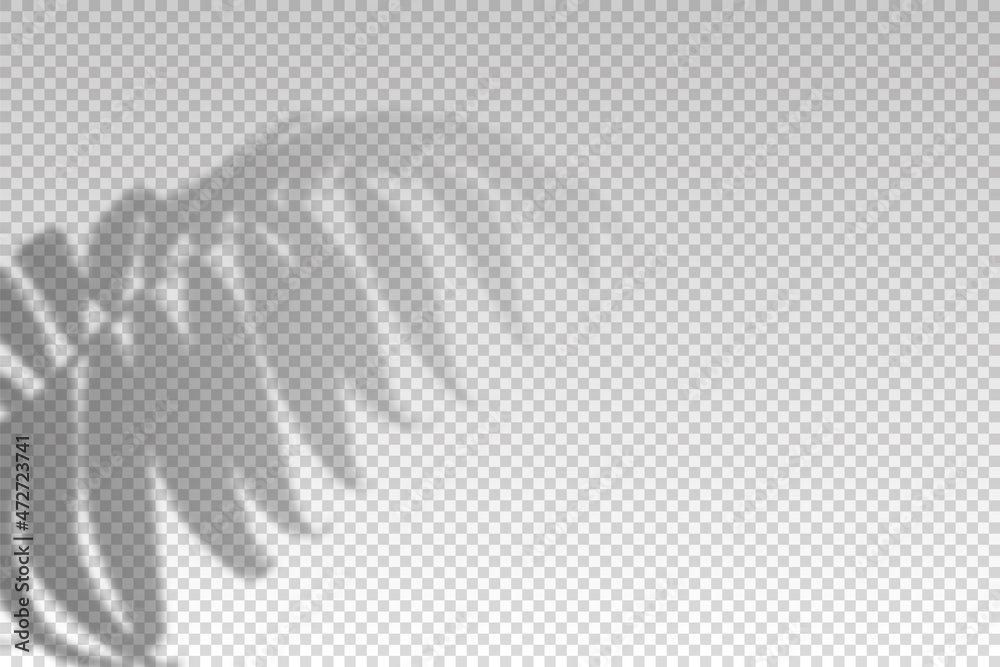 Shadow plant leaf overlay effect. Tropical leaves. Light from window on ...
