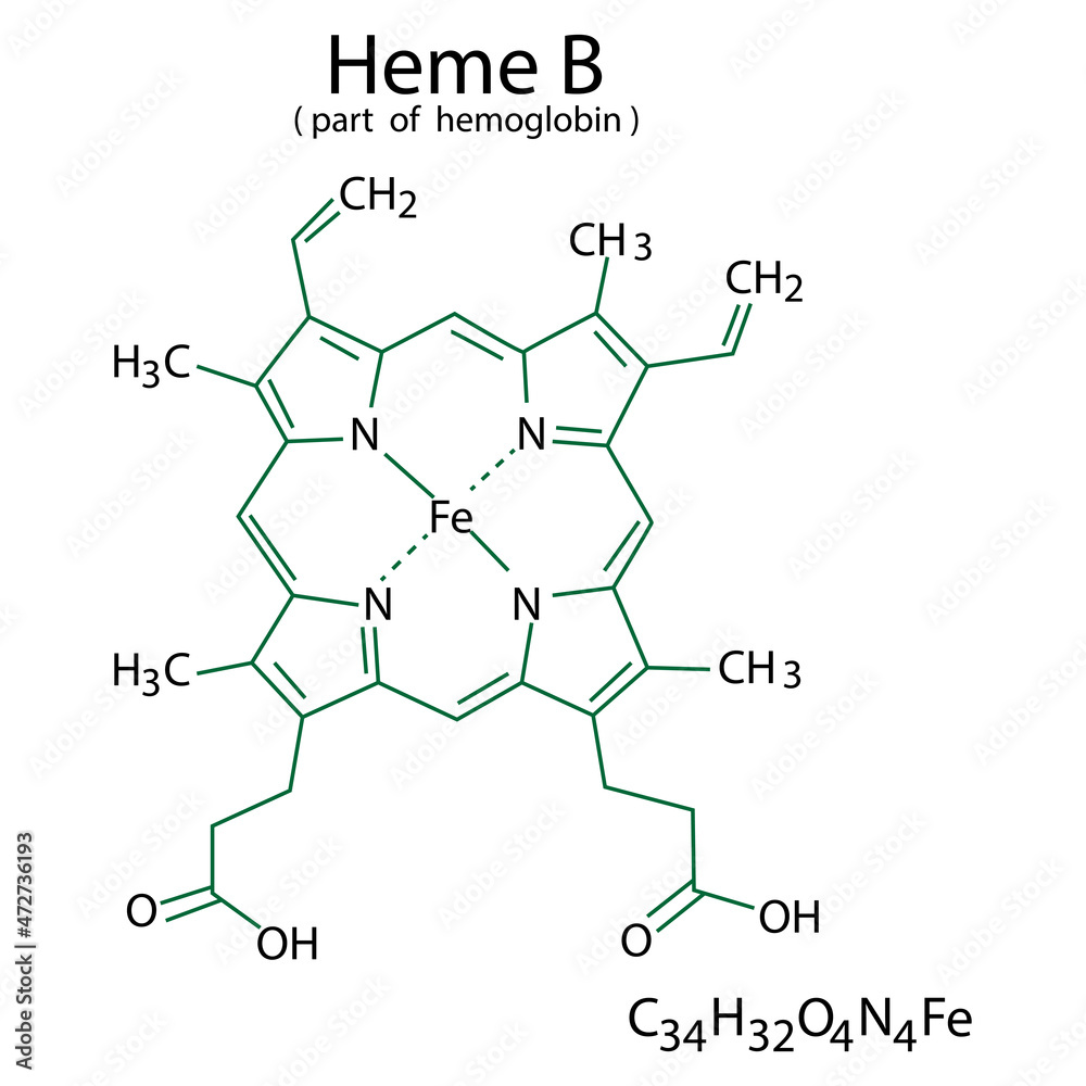 Hemoglobin B chemical formula. Cell of blood. Molecular structure ...