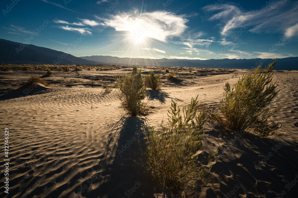 Poster Landscape of Death Valley California in the Mojave desert with ...