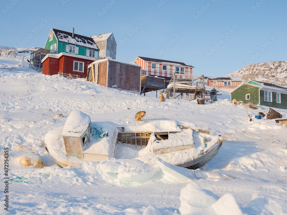 The traditional and remote Greenlandic Inuit village Kullorsuaq located ...