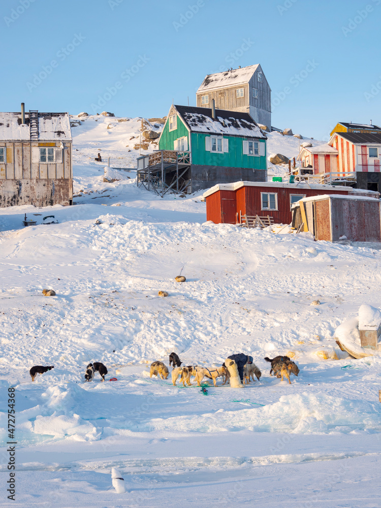The traditional and remote Greenlandic Inuit village Kullorsuaq located ...