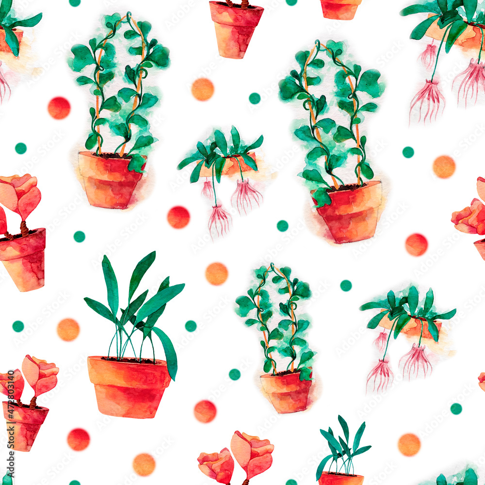 Watercolor seamless pattern with home plants in pot: bulbophyllum ...
