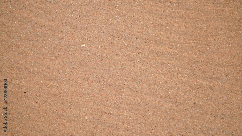 Top view, flat lay of golden wet sand on the beach, grains of sand ...