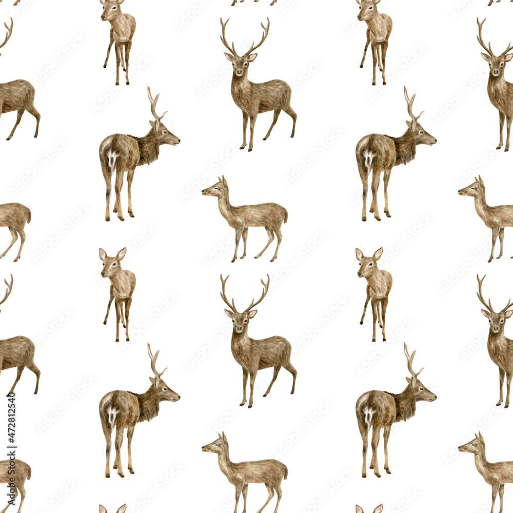 Watercolor deer seamless pattern. Hand painted realistic whitetail buck ...