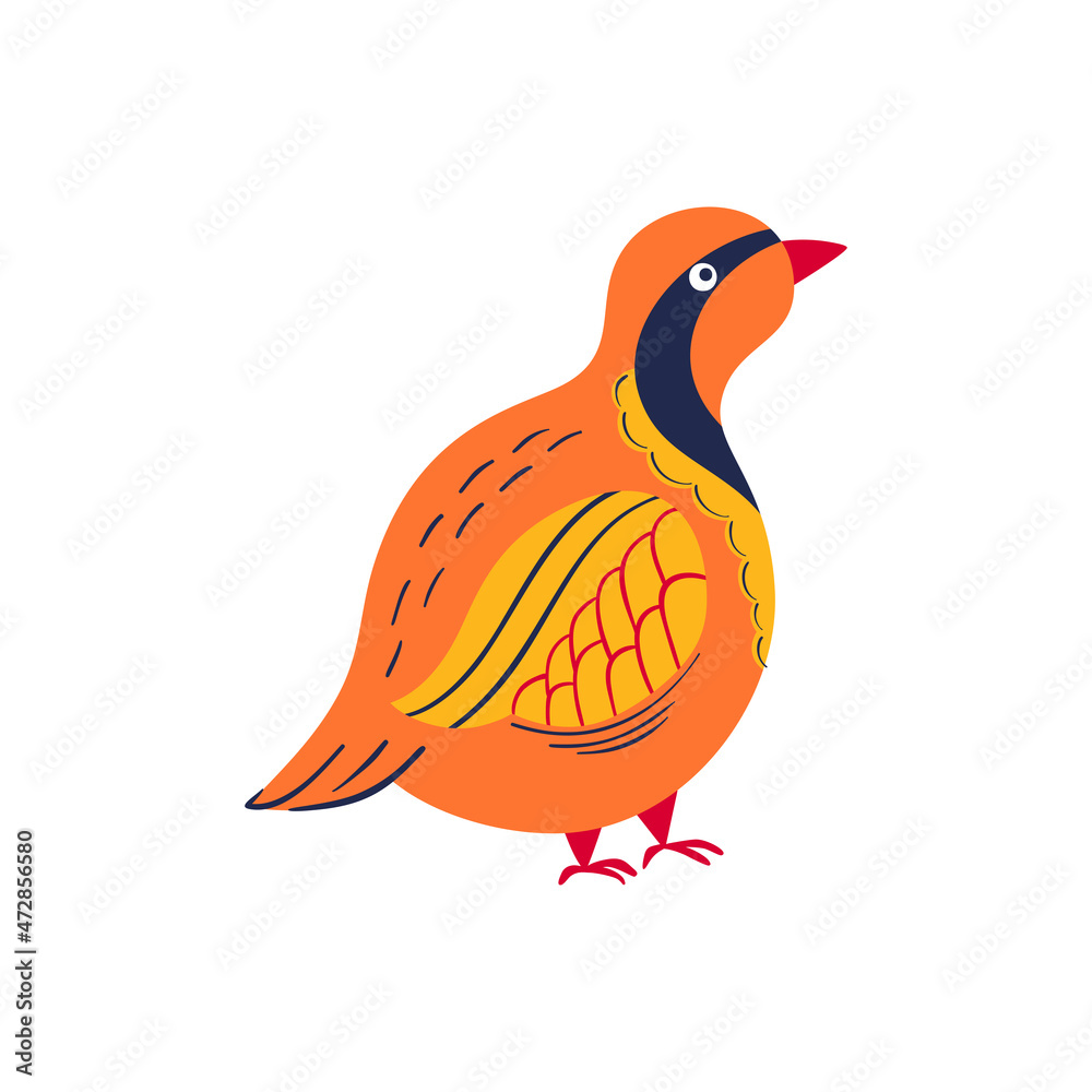 partridge vector illustration. hand-drawn stylized ground bird Stock ...