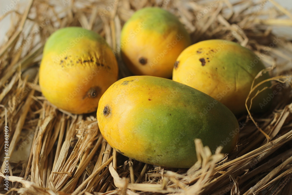 The Gir Kesar mango, also called Kesar, is a mango cultivar grown in ...