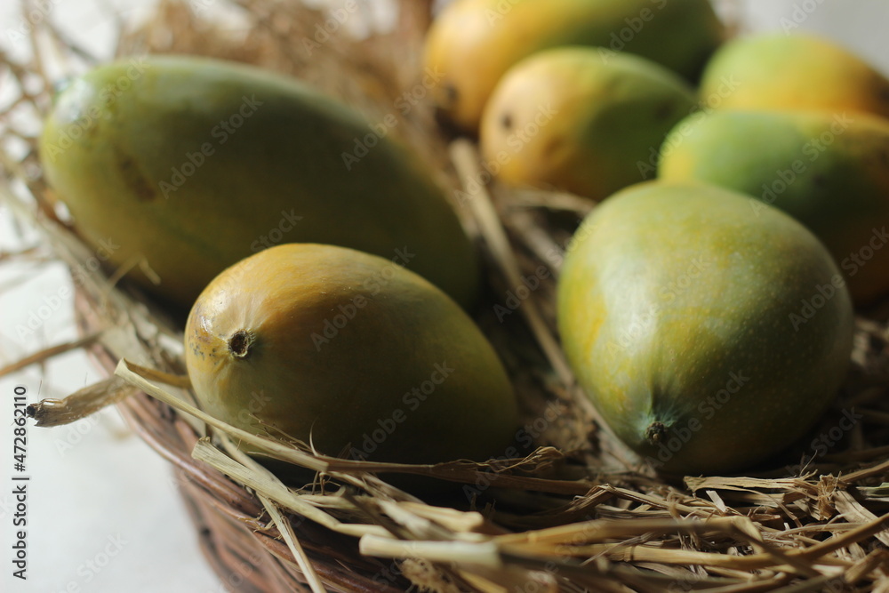 The Gir Kesar mango, also called Kesar, is a mango cultivar grown in ...