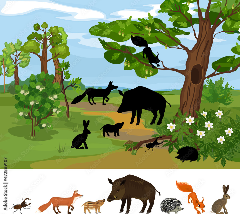 Find the right shade. Educational children matching game with animals ...