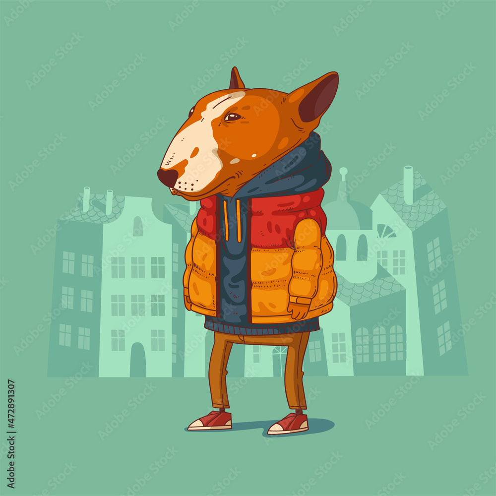 Vector illustration of cool humanized bull terrier. Anthropomorphic dog ...