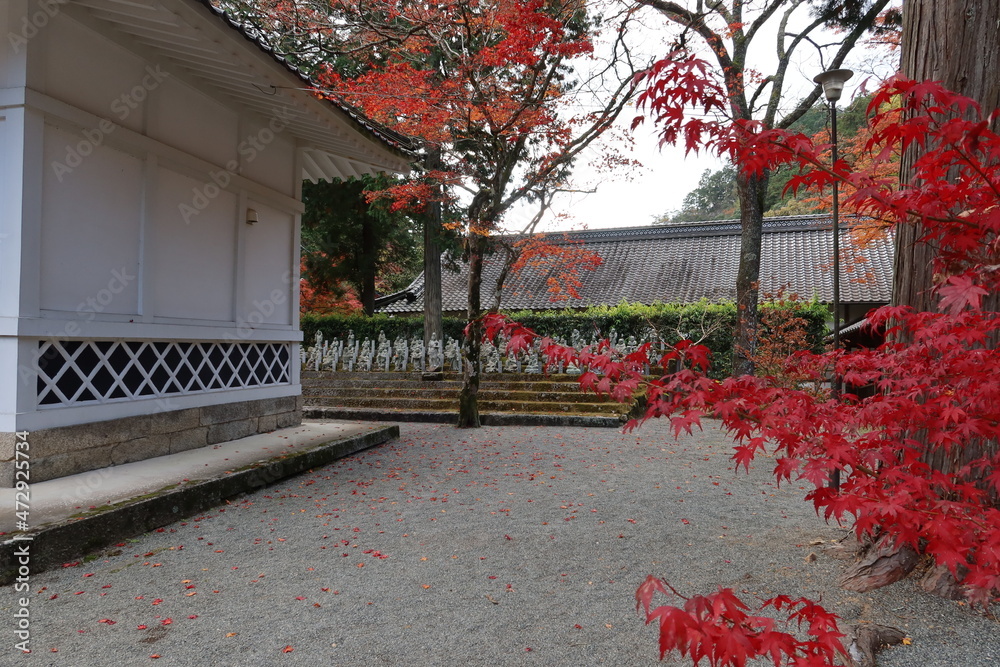 Stone Buddhist images and autumn leaves in the precincts of Buttsu-ji ...