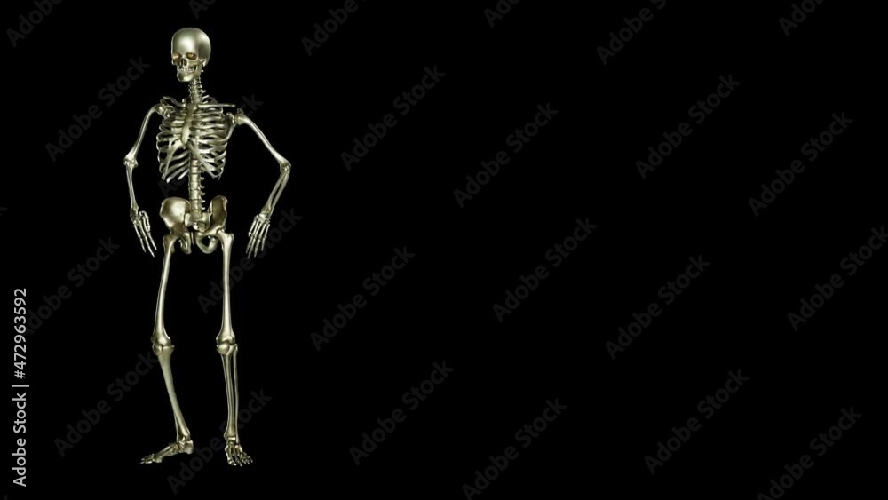 Skeleton dancing. Seamless loop animation on black background, slide ...