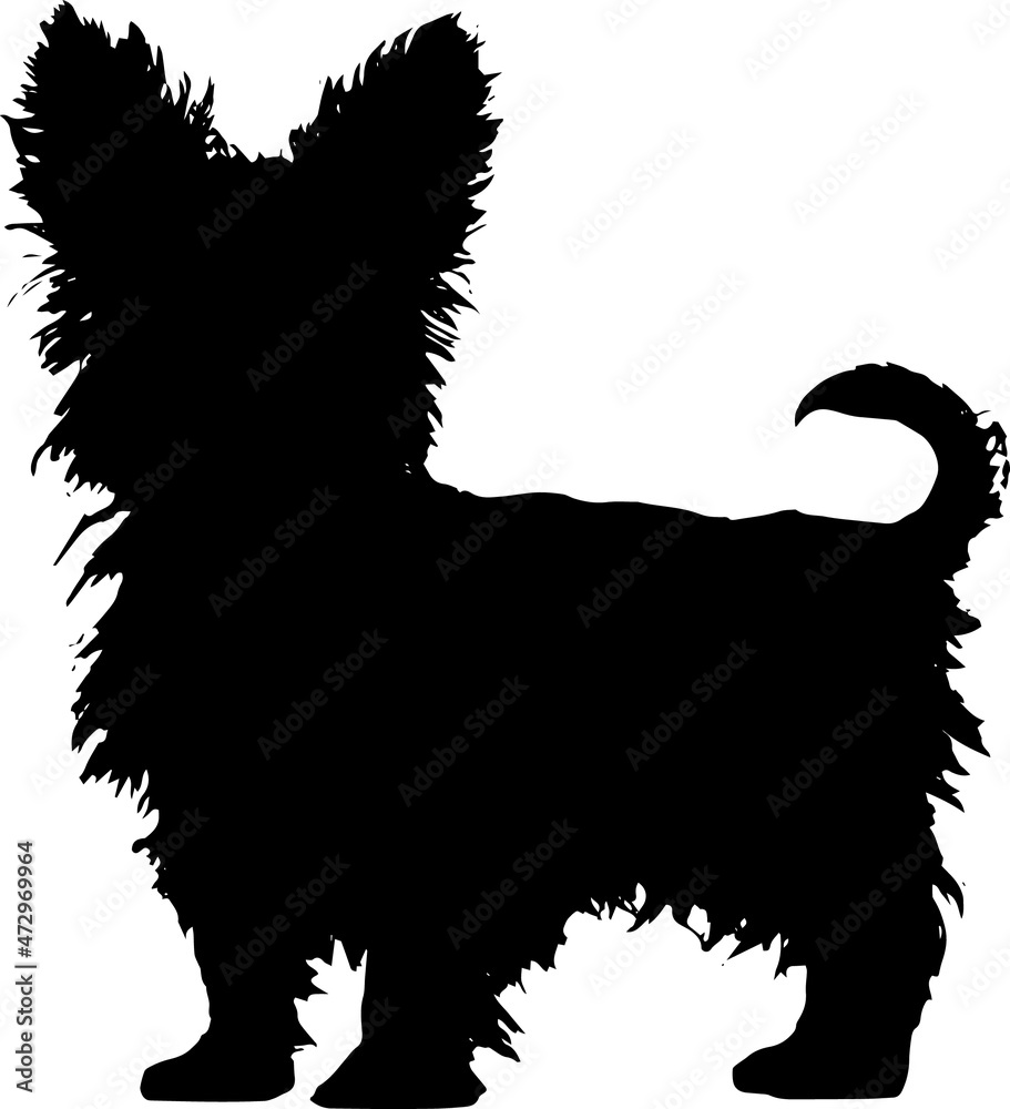 Yorkshire Terrier Dog Silhouette SVG Yorkie Silhouette Stock Vector ...