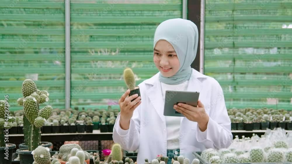 Muslim agriculture botanist startup business woman owner cactus flower ...