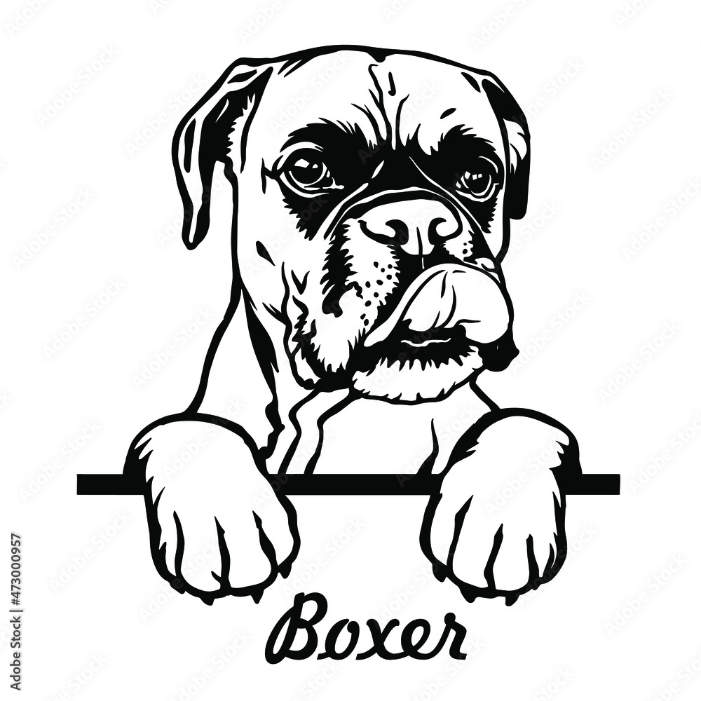 Boxer Peeking Dogs. Boxer dog breed. black and white clipart of a dogs ...