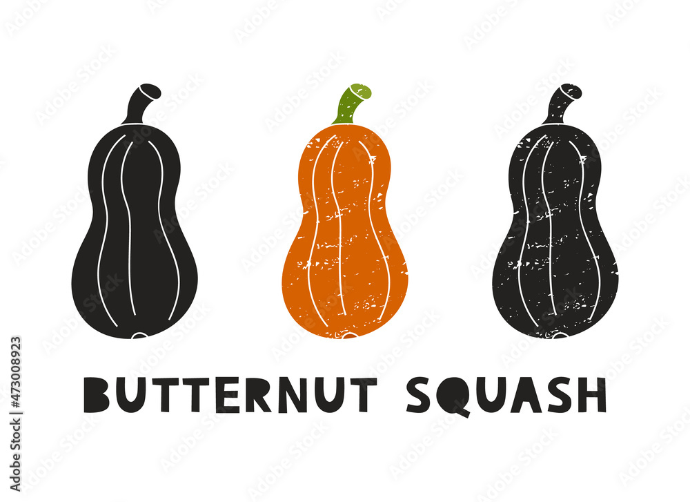 Butternut squash, silhouette icons set with lettering. Imitation of ...