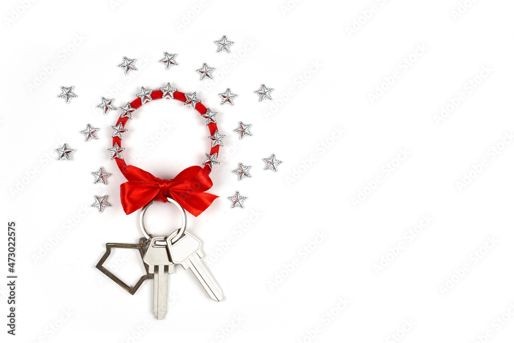 Keychain with keys on an isolated white background. Keychain - house ...